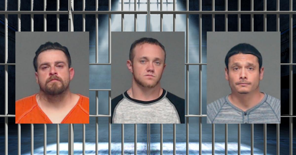 Stalking and Engaging in Organized Criminal Activity Tops Tuesday's ...