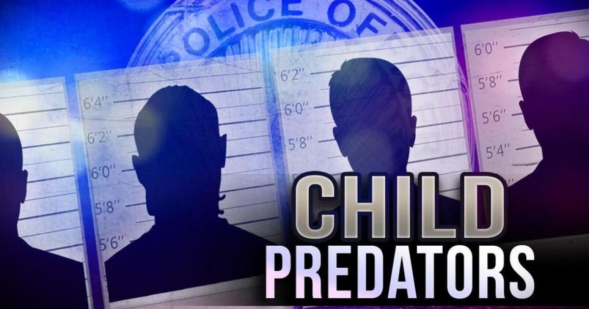 What Is A Child Predator Sting at Matthew Alvarez blog