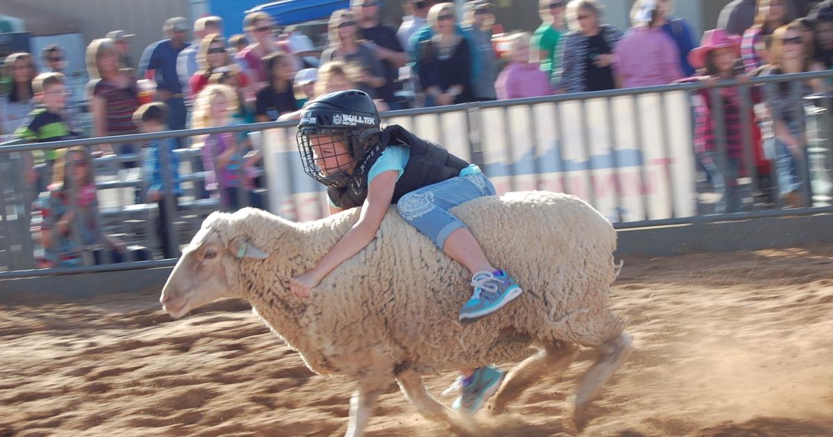 Mutton Busting Gains Ground Among Children on the Midway