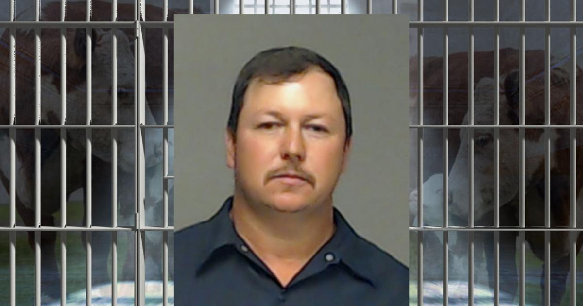 Accused Cattle Rustler, Dusty Thompson, GUILTY.