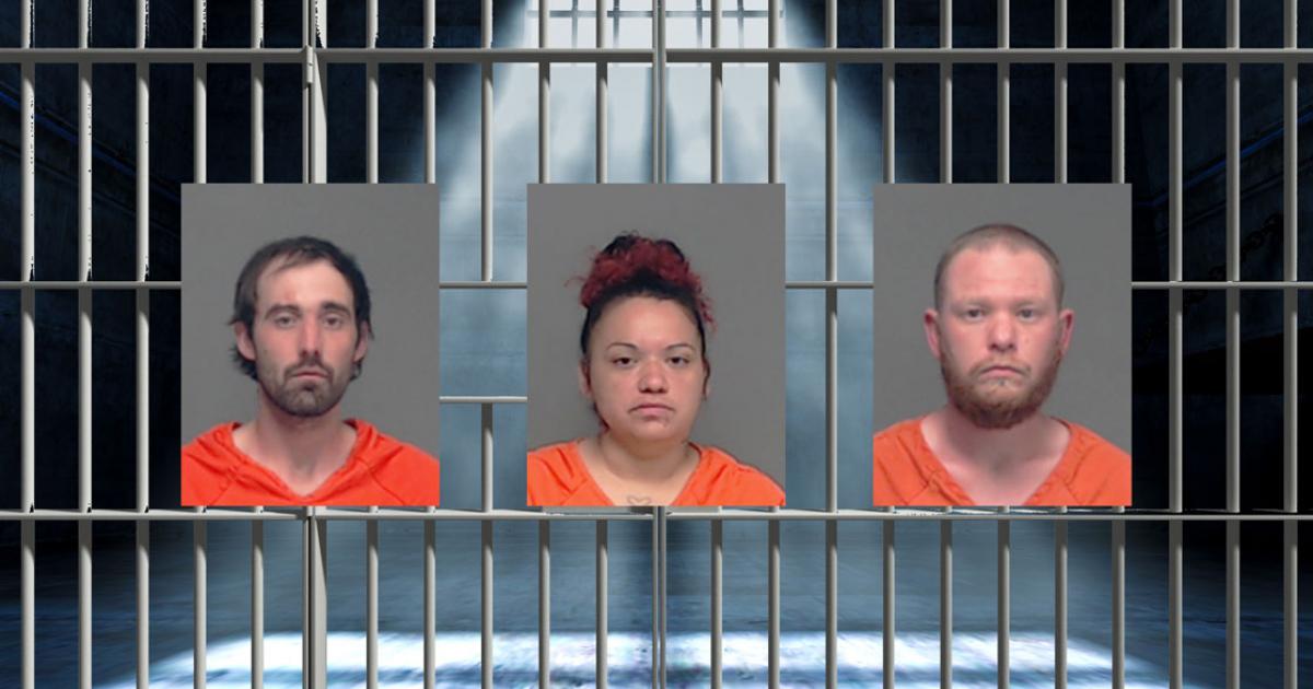 Evading Arrest with a Stolen Car Tops Tuesday's Booking Report