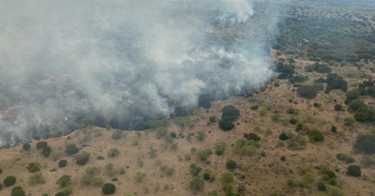Mays Wildfire Burns 9,500 Acres Near Brady