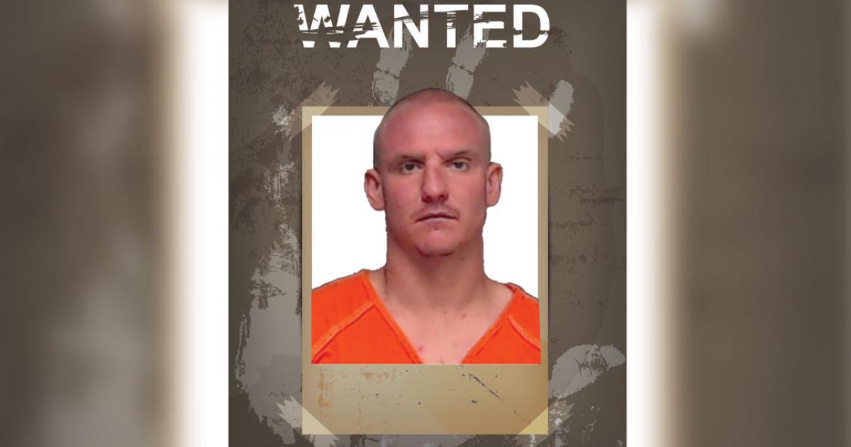 Have You Seen This Wanted Man?