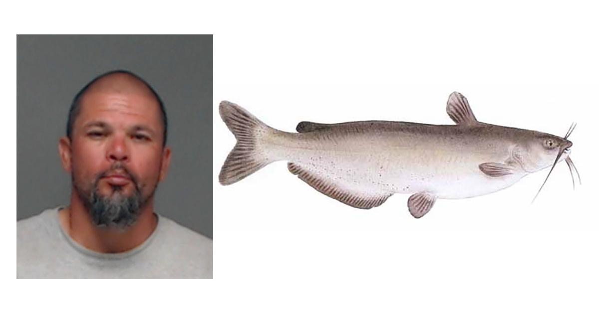Man Cited for Catching Channel Catfish, Then They Found Drugs