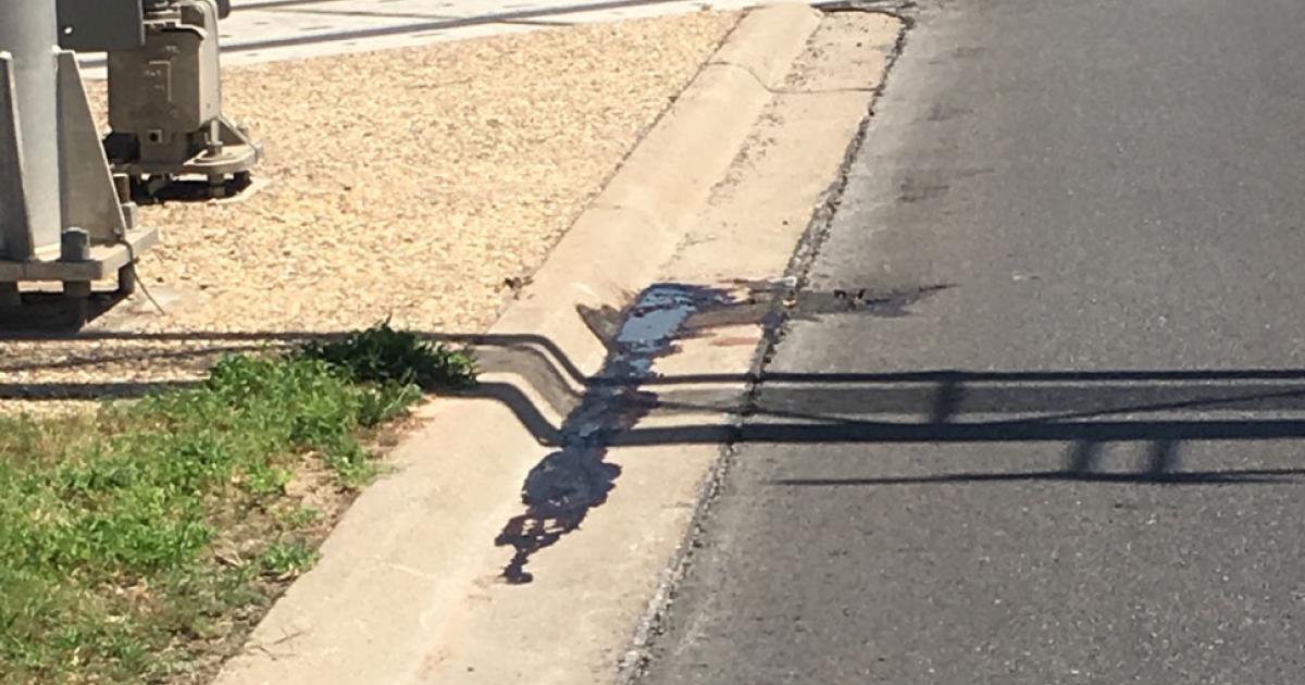 San Angeloans Upset Over Dead Animals Left on Streets Over Holiday Weekend