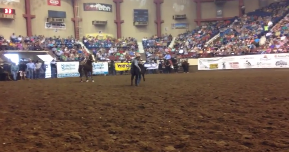 Video: Shane Hanchey's Record-Shattering 6.8 Second Tie-Down Calf ...