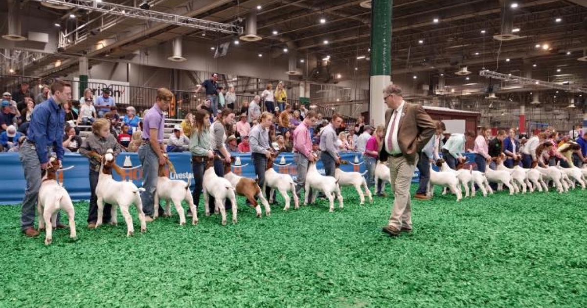 Rodeo Houston Confirms 2021 Livestock Show & Rodeo