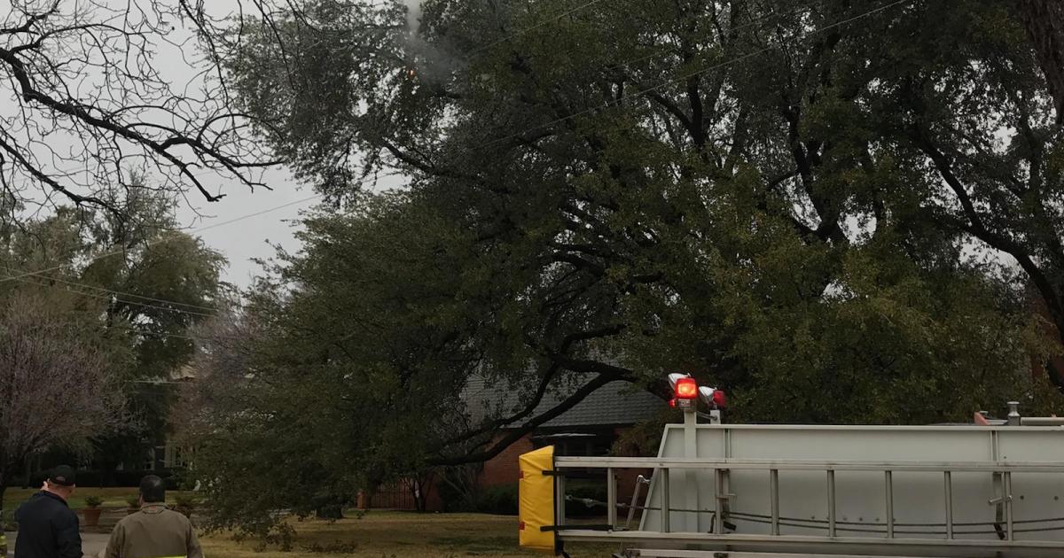Iced Over Powerline Sparks Fire in Tree Branches