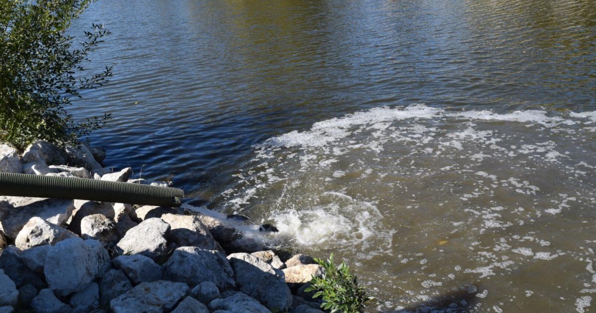 Texas Parks and Wildlife Stock Concho River with Trout for Winter