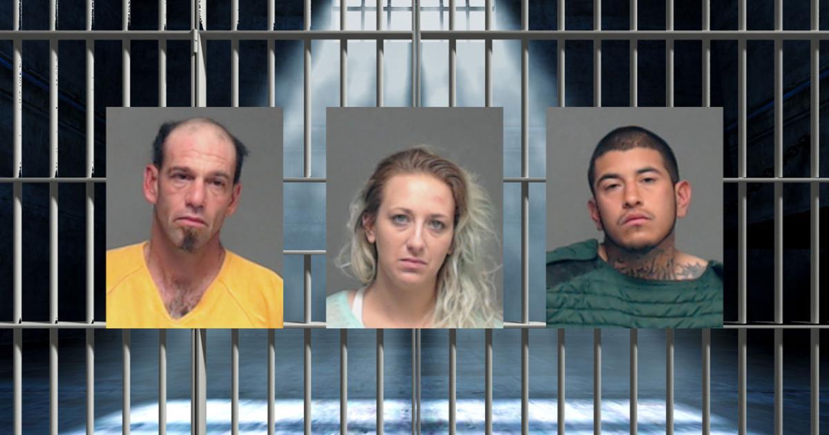 Tuesday-Wednesday Booking Report: Evading Arrest, Illegal Burn, and ...