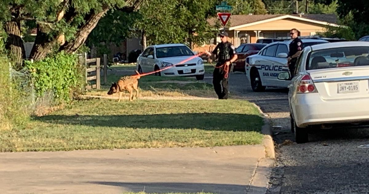 WATCH: SAPD K9 Unit Searches for Elusive Fugitive