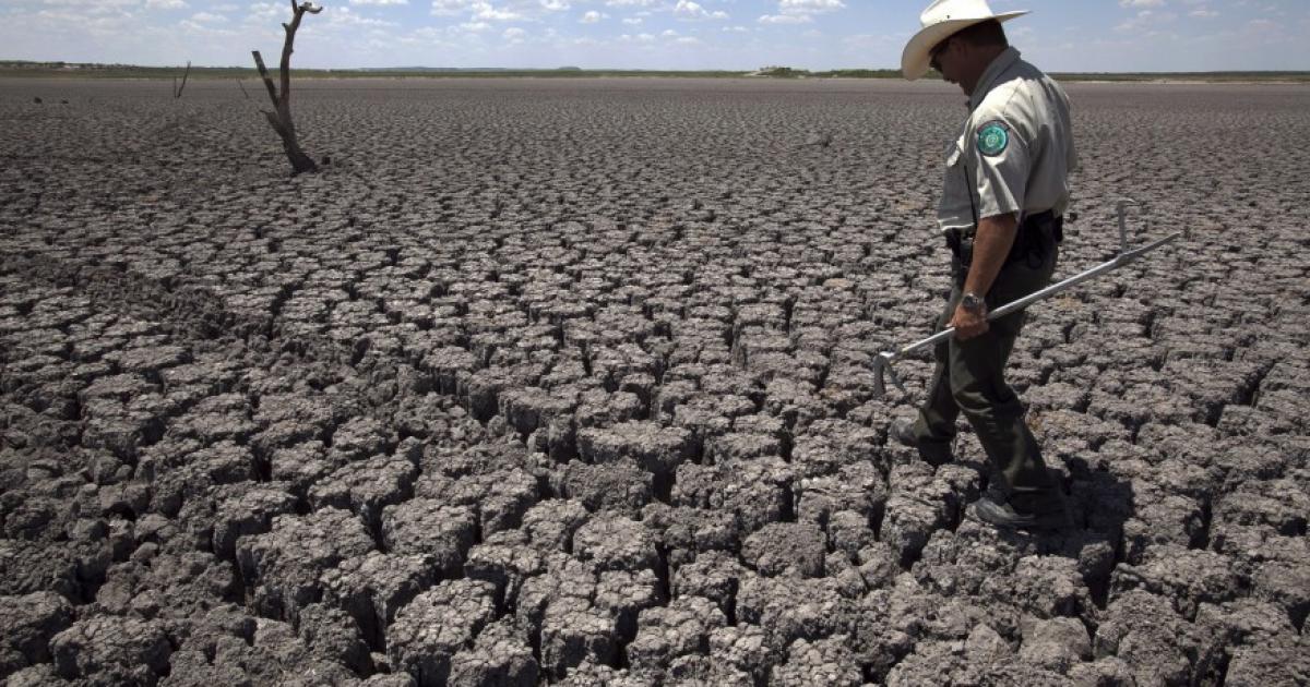 USDA Declares 10 Texas Counties as Disaster Areas for Excessive Heat ...