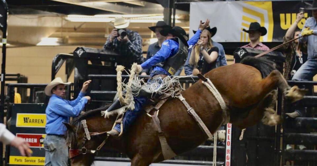 Rusty Wright Takes Ride on Familiar Horse for 3rd San Angelo Title