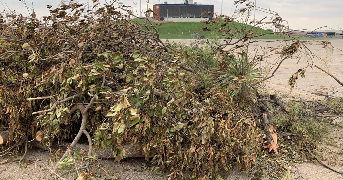 Here's How to Dispose of Storm Debris