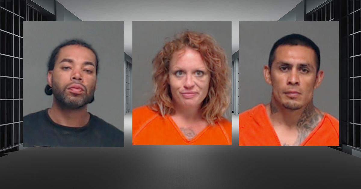 Prowler Charged with Evading Arrest on Wednesday Booking Report