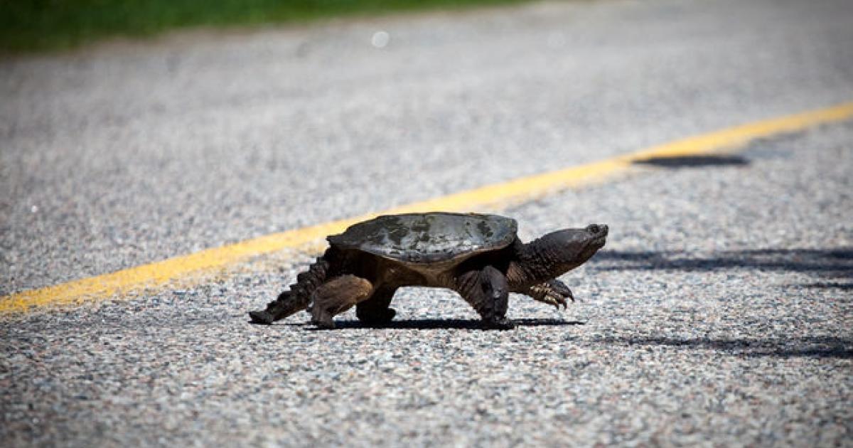 Speed Limit Reduced By 15 MPH on Access Road