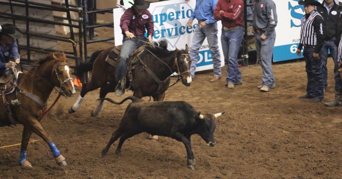 The Versatility of Steer Wrestling Leader Waguespack