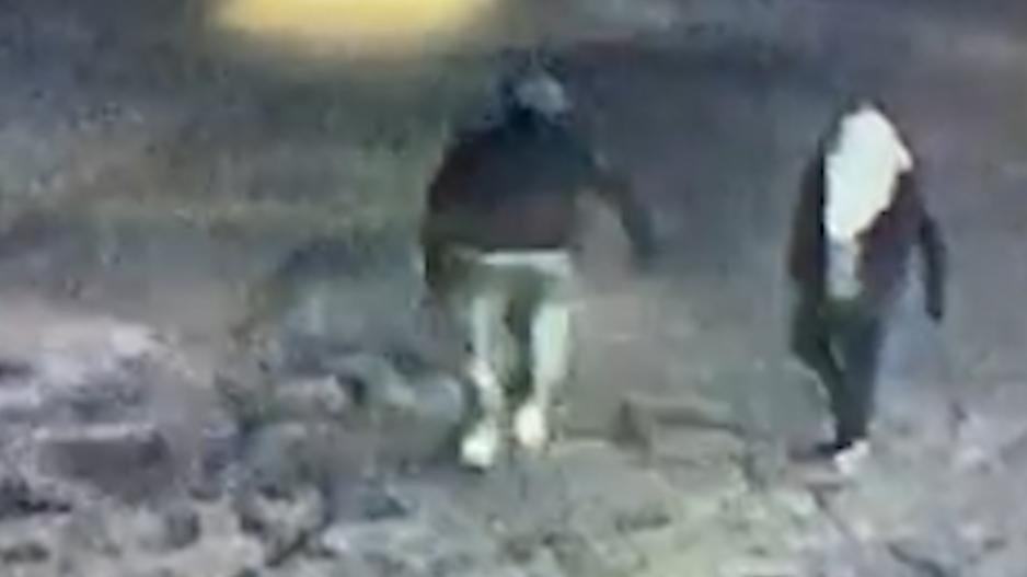 Thieves Break into Local Business Caught on Video