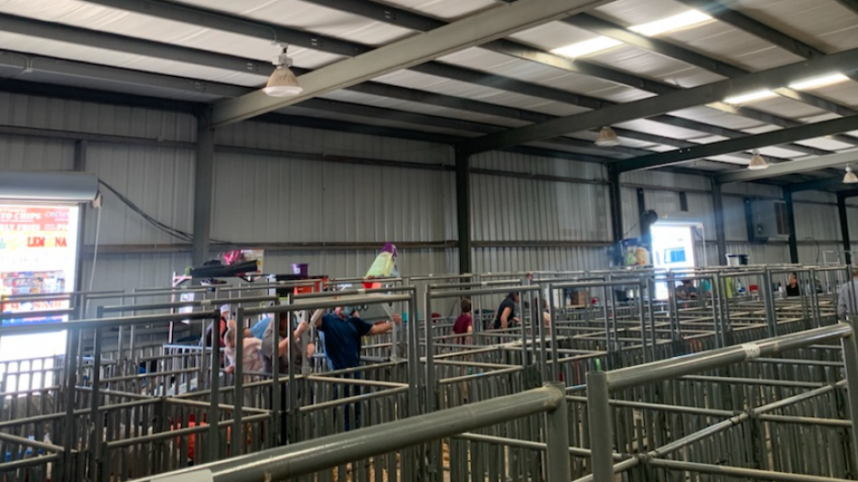 Barns Open for the 2021 San Angelo Livestock Show