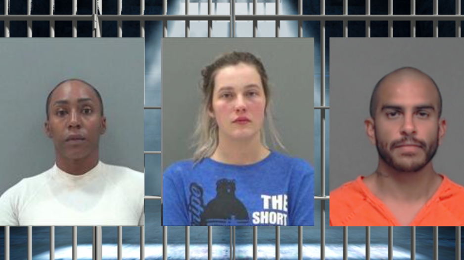 Drug Possession and Family Violence Arrests Top the Tuesday Booking Report