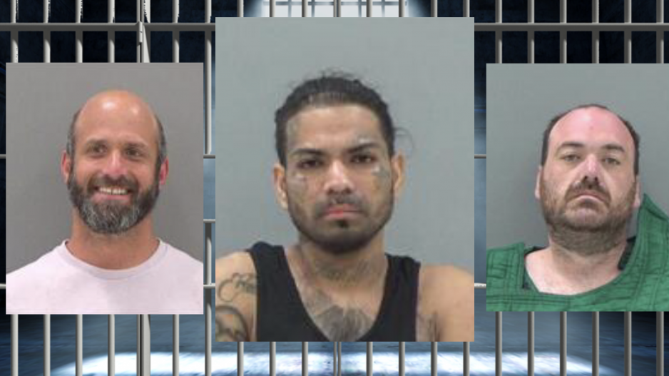 Family Violence Arrests Top Fathers Day Weekend Booking Report