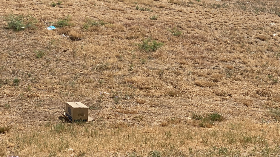 Trash Build up Along Loop 306 Concerns Residents
