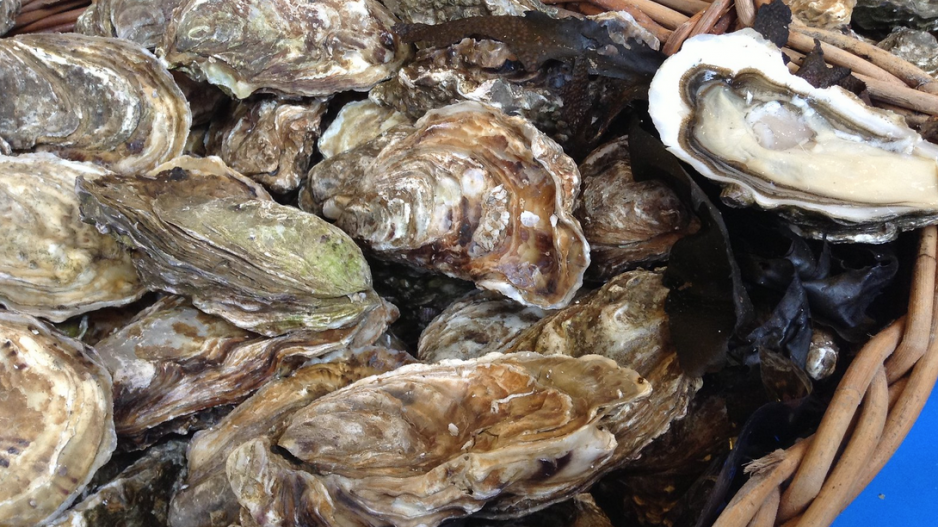 20 of 29 Texas Shellfish Harvest Areas Closed as Season Starts