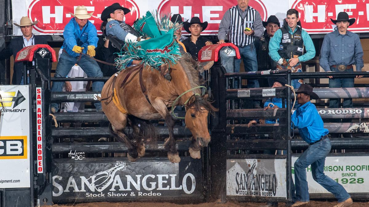 LIVE! Daily News | Everything You Need to Know About the San Angelo Rodeo