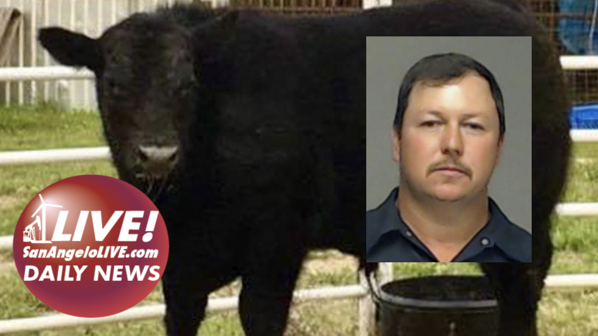 LIVE! Daily News | Convicted Cattle Rustler is Back in the News!