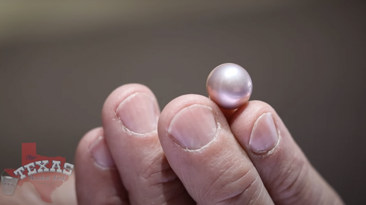 San Angelo’s Concho Pearl Featured on The Texas Bucket List