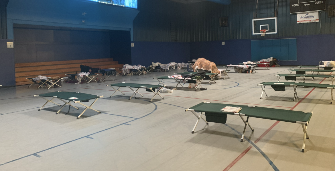 Critter Shack Seeks Homes for Rescued Animals