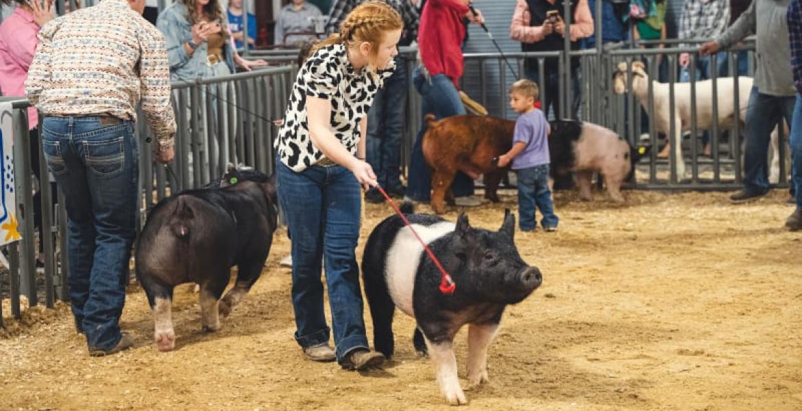 ASU Takes First in Intercollegiate Meat Judging Contest