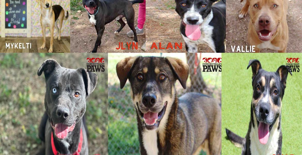 Grandparents Raising Kin Support Group Lends a Helping Hand