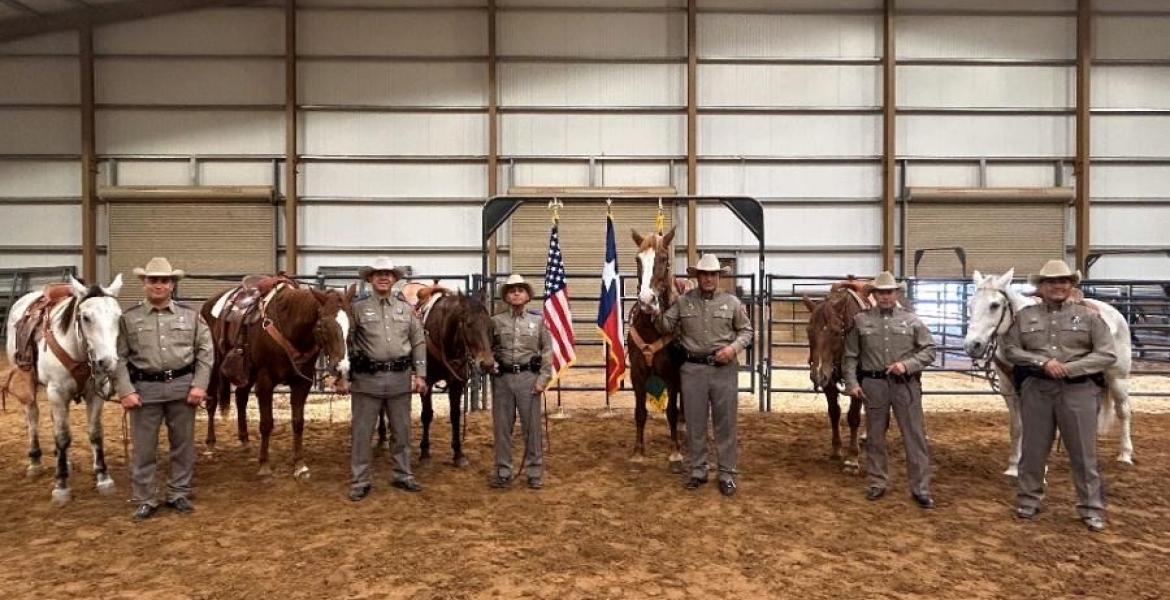 Animal Cruelty Laws Strengthened by New State Law