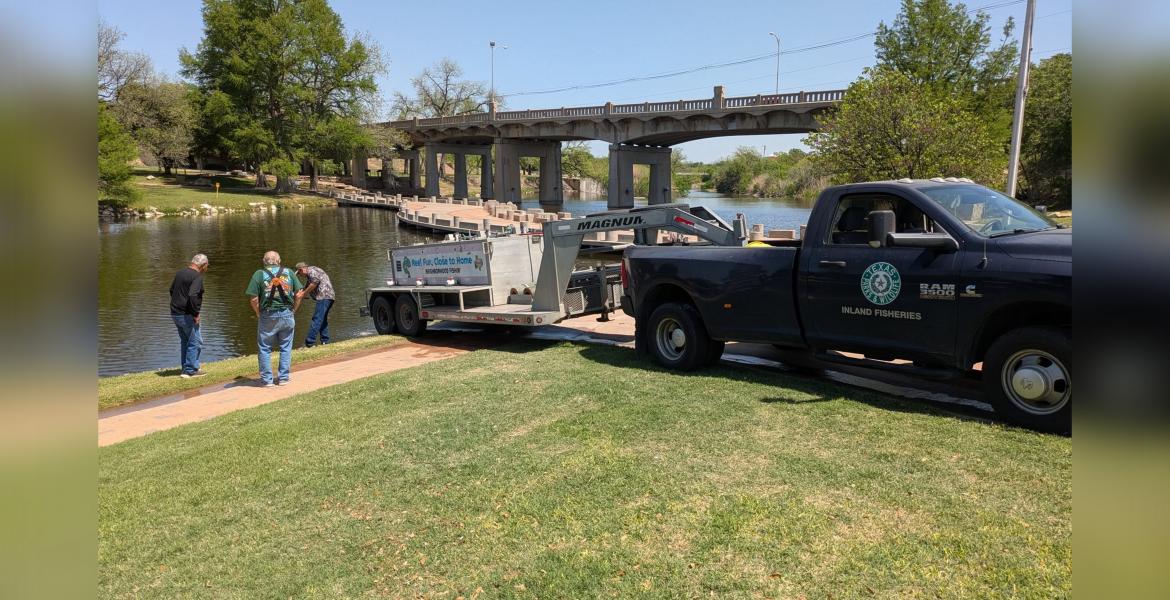 What You Need to Know: Texas Hunting License Tags Go Digital