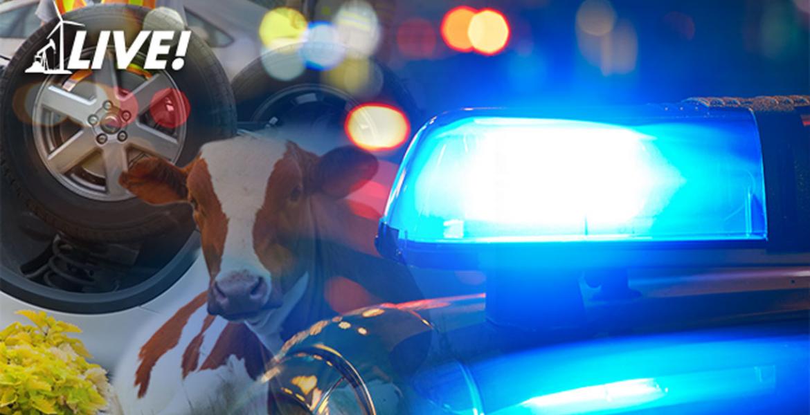 Man Killed in Crash with Peterbilt Truck Near Gustine